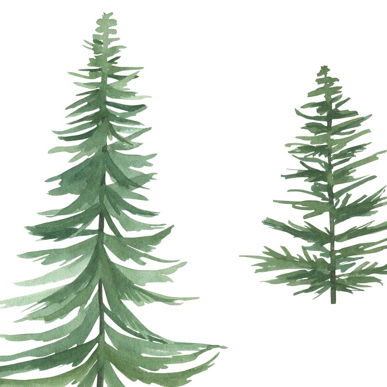 Watercolor Pine Trees Clipart Collection. Woodland Pine Trees ...