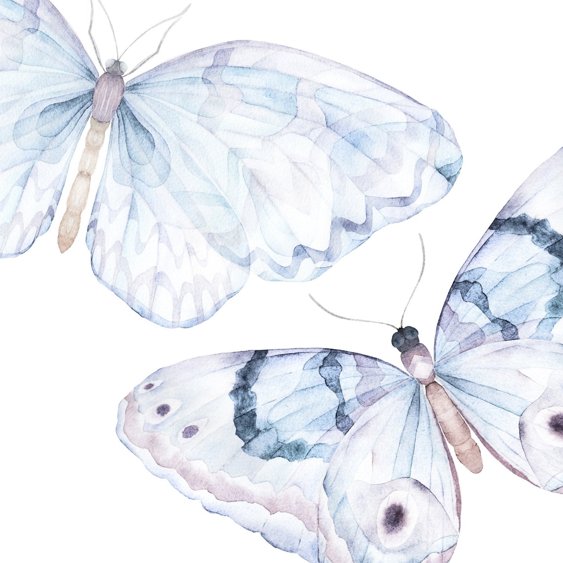 Butterfly Watercolor Clipart. Hand Painting Png Elements. - Etsy