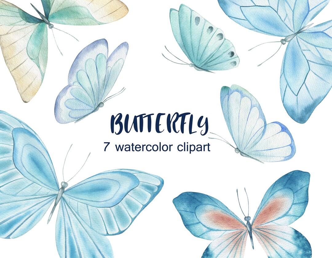 Butterfly Watercolor Clipart. Hand Drawn Png Elements. Digital - Etsy