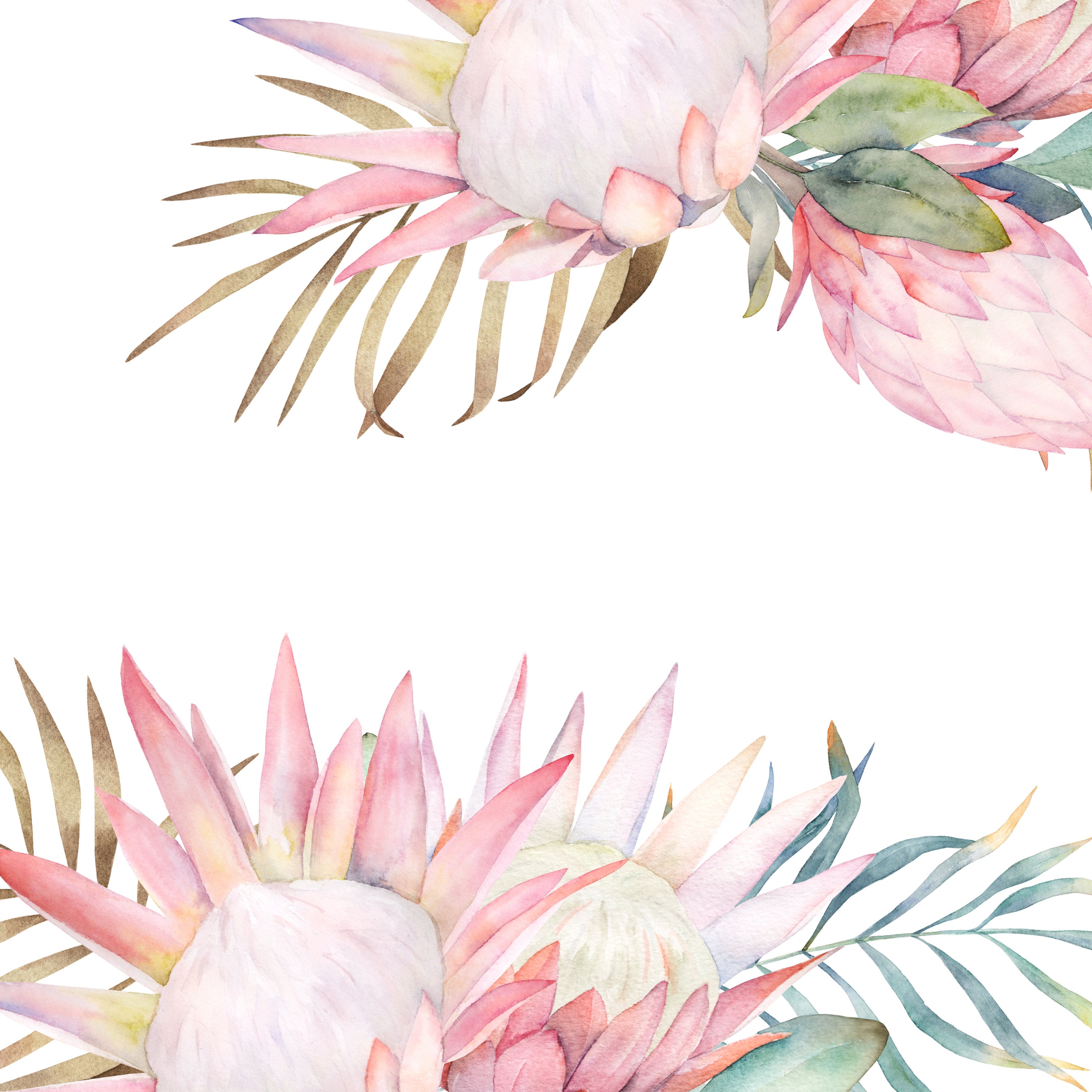 Protea Compositions Collection. Watercolour Frame, Border, Wedding Art ...