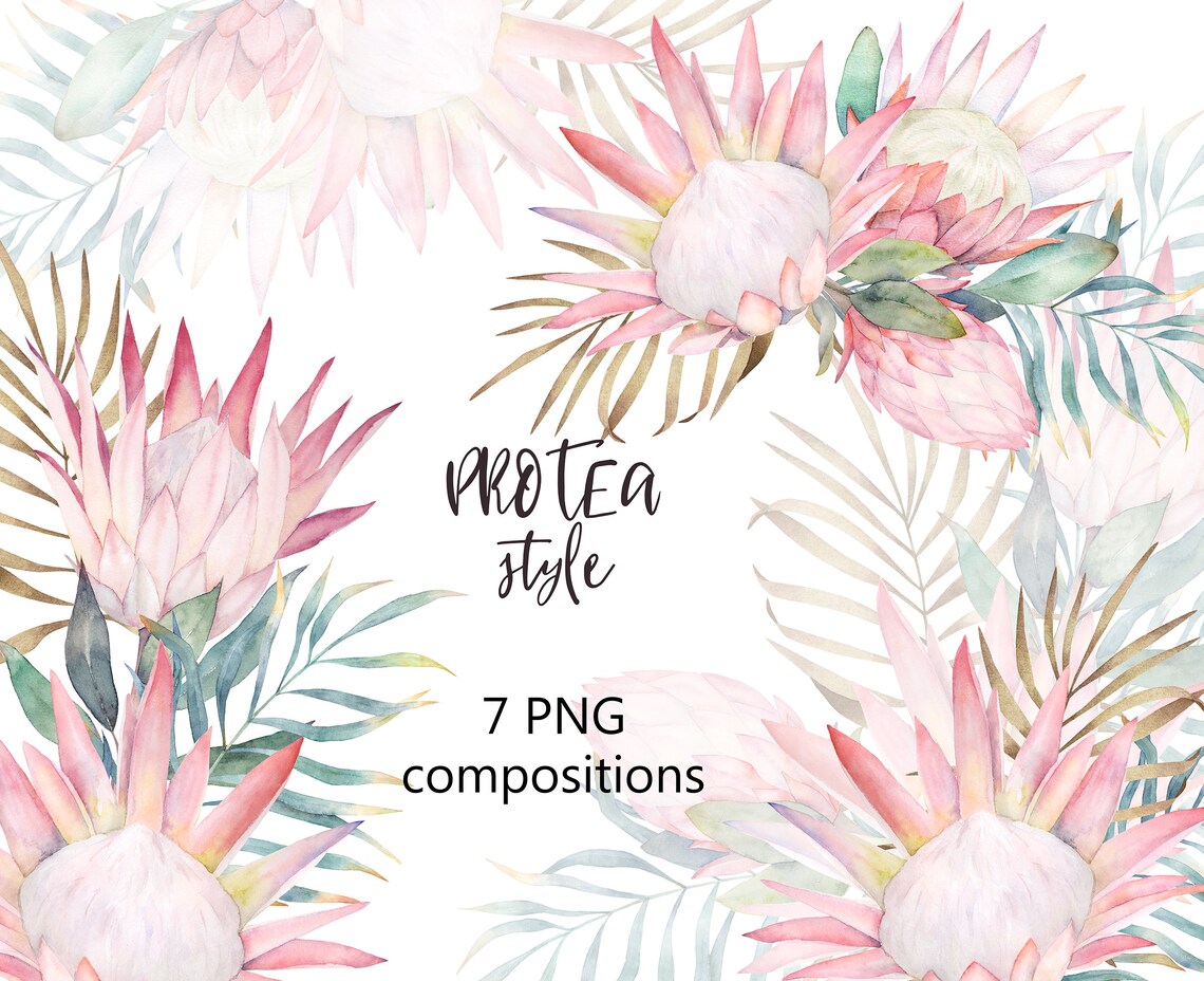 Protea Compositions Collection. Watercolour Frame, Border, Wedding Art ...