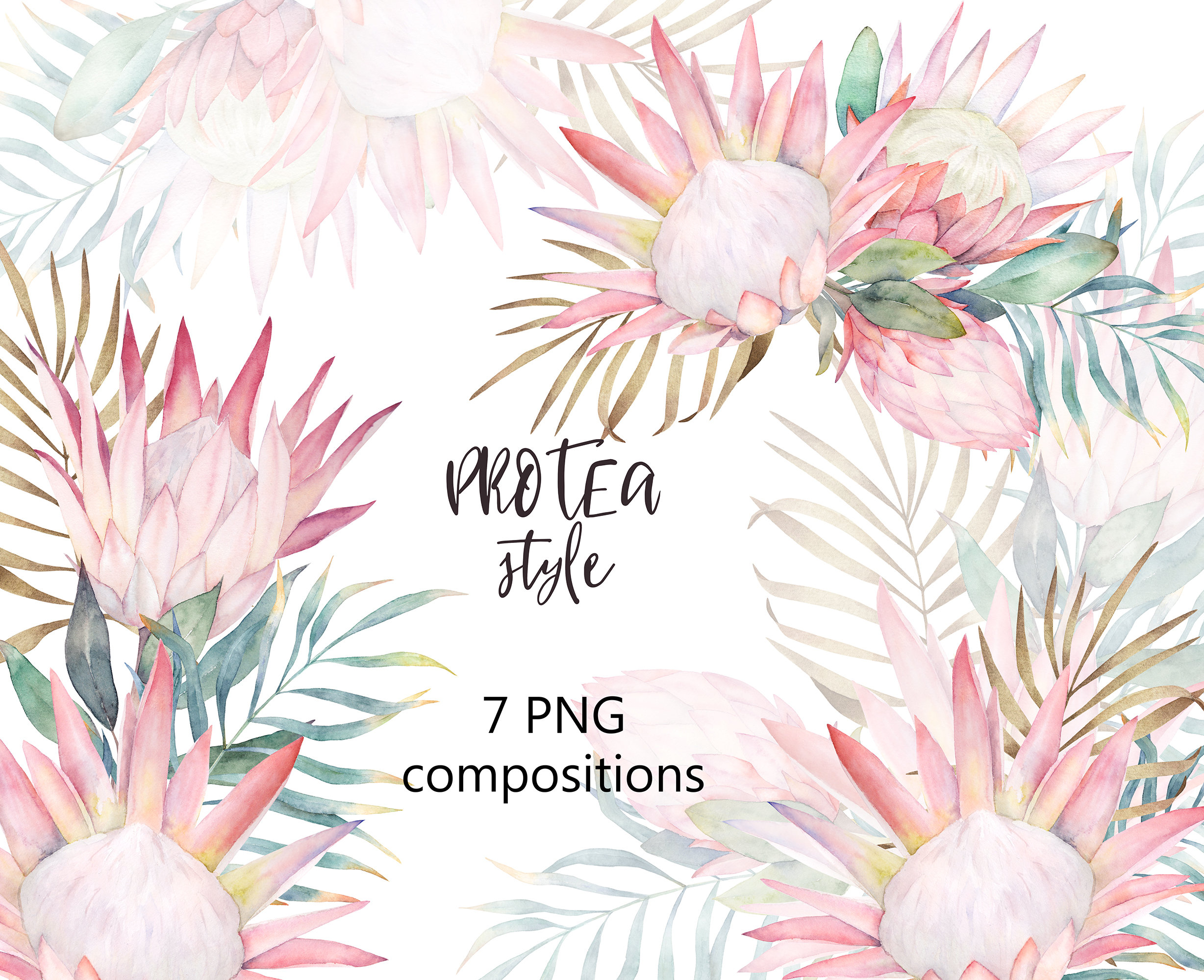 Protea Compositions Collection. Watercolour Frame, Border, Wedding Art ...