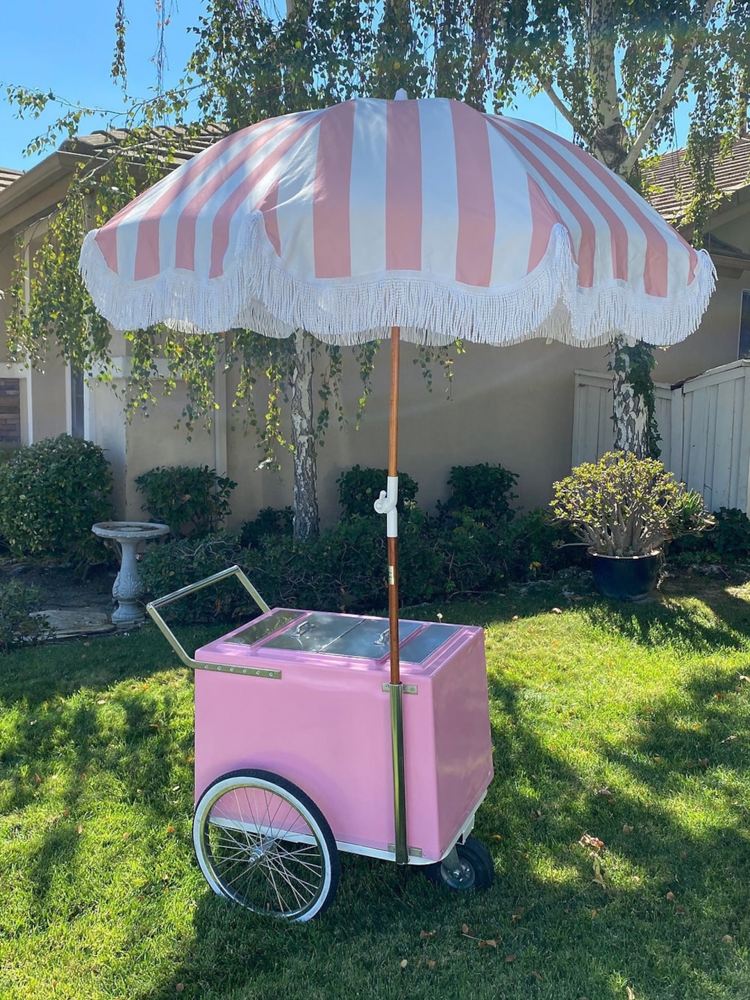 Mexican Paleta Carts the Traditional Food of Mexico Catering - Etsy