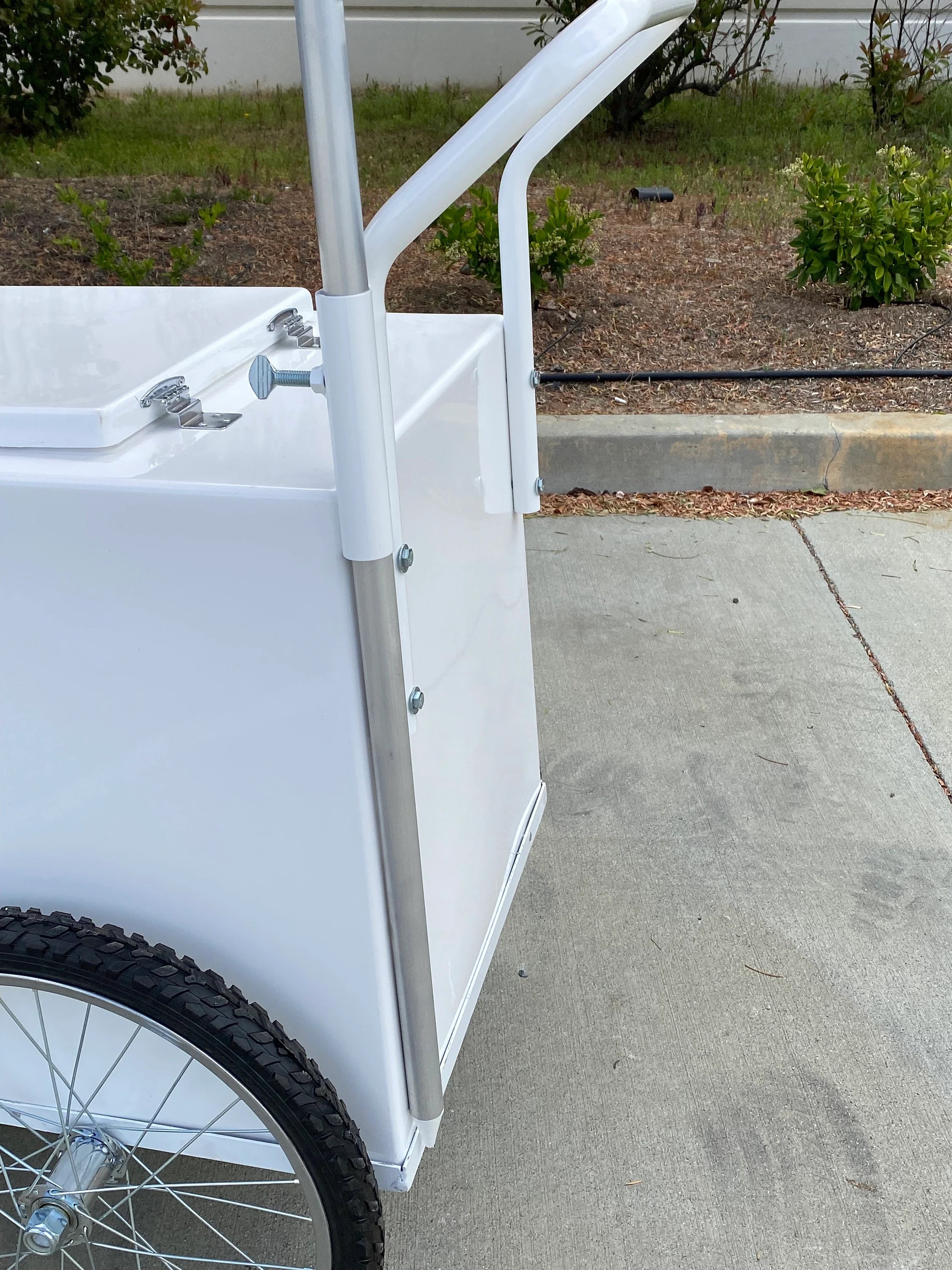 Traditional Mexican Paletas Cart Paleta Vendor Push Cart - Etsy Australia