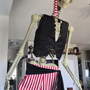 12 Ft Skeleton Pirate Costume!!!! (skelleton Not Included) - Etsy