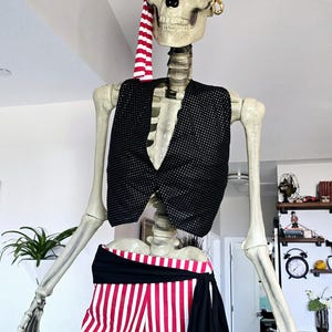 12 Ft Skeleton Pirate Costume!!!! (skelleton Not Included) - Etsy
