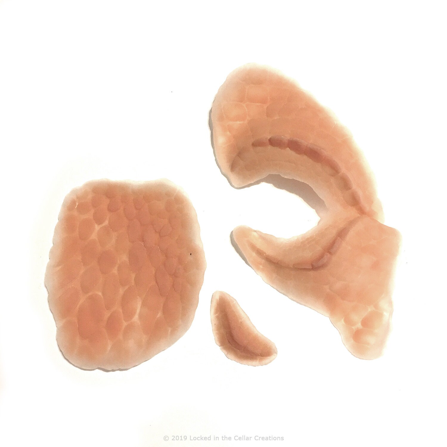 Asymmetrical Reptile Prosthetic Set lizard / Snake / Iguana / - Etsy Canada