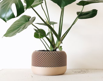 Large Indoor Planter PIKO Wood for Green Plant Cactus | Etsy