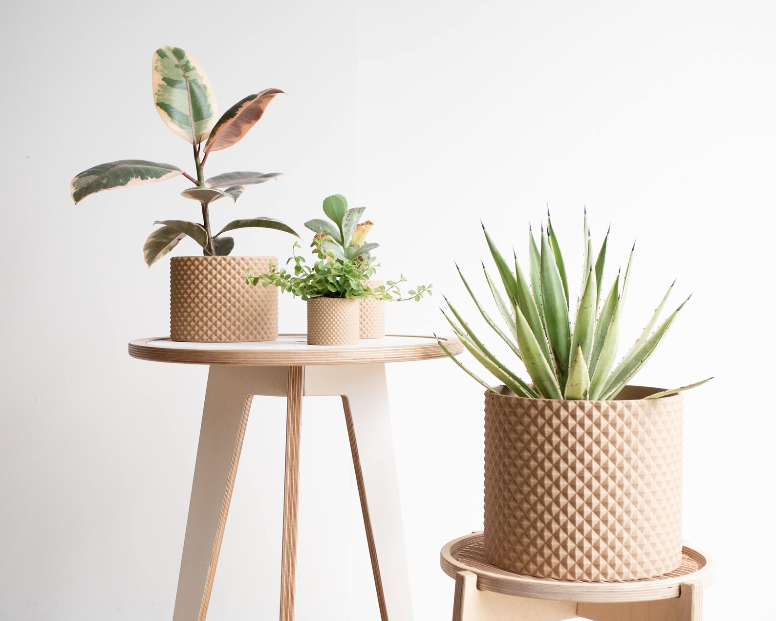 Large Indoor Planter - PIKO - Wood - for Green Plant Cactus and ...