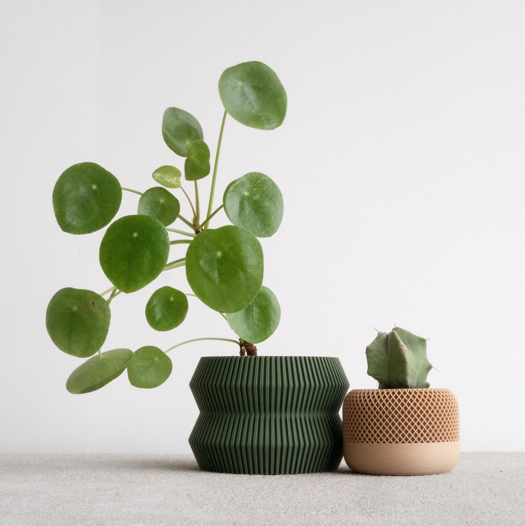 Green Indoor Wood Planter ITO Perfect for Any Indoor Planter and Home ...