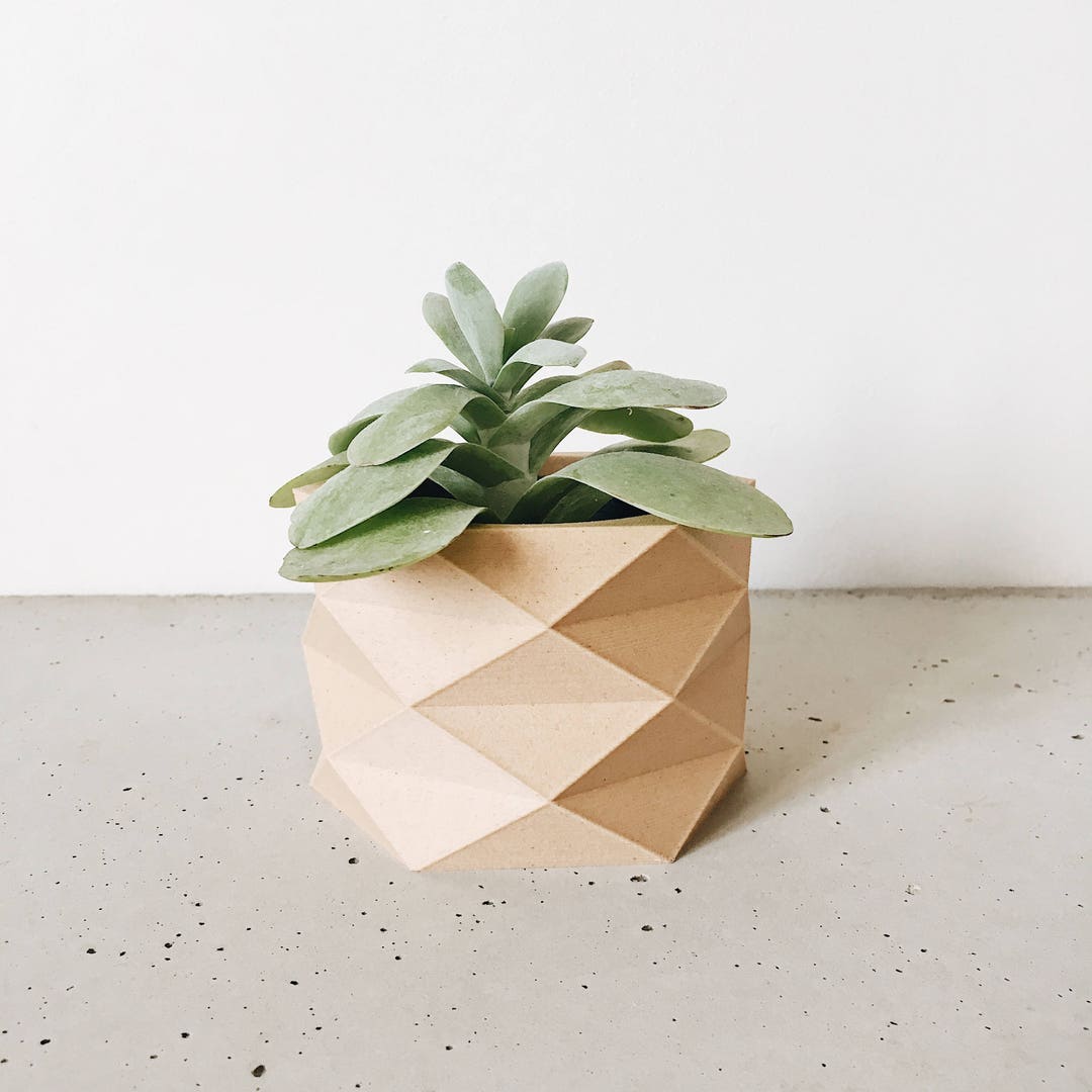 Geometric Minimalist Planter Wood Planter Low Poly Planter, for Cactus ...