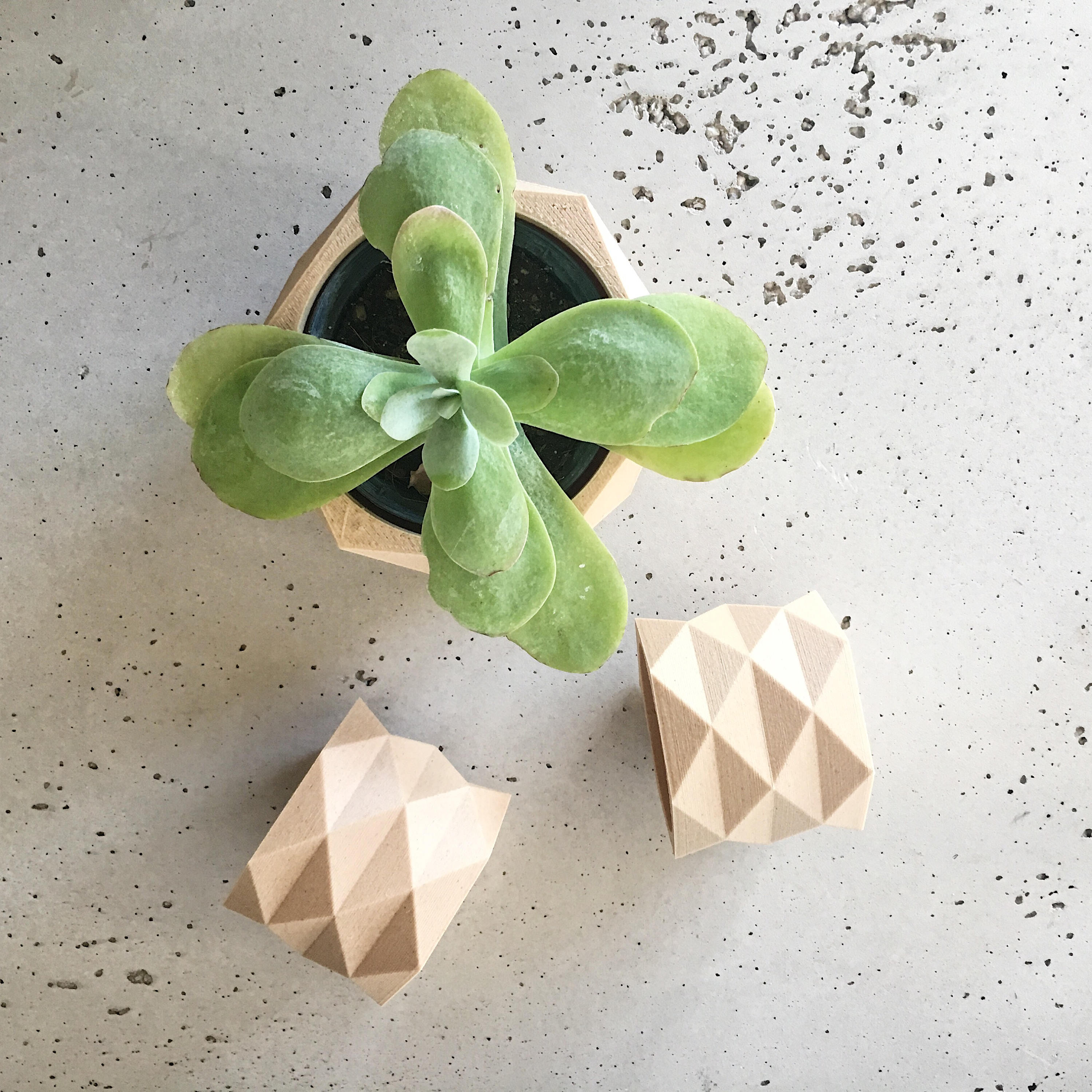 Geometric Minimalist Planter Wood Planter Low Poly - Etsy