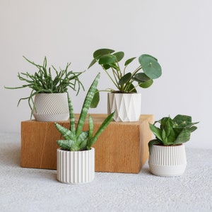 Set of 4 Small Indoor Planters White - Original Planter Gift ! - Etsy