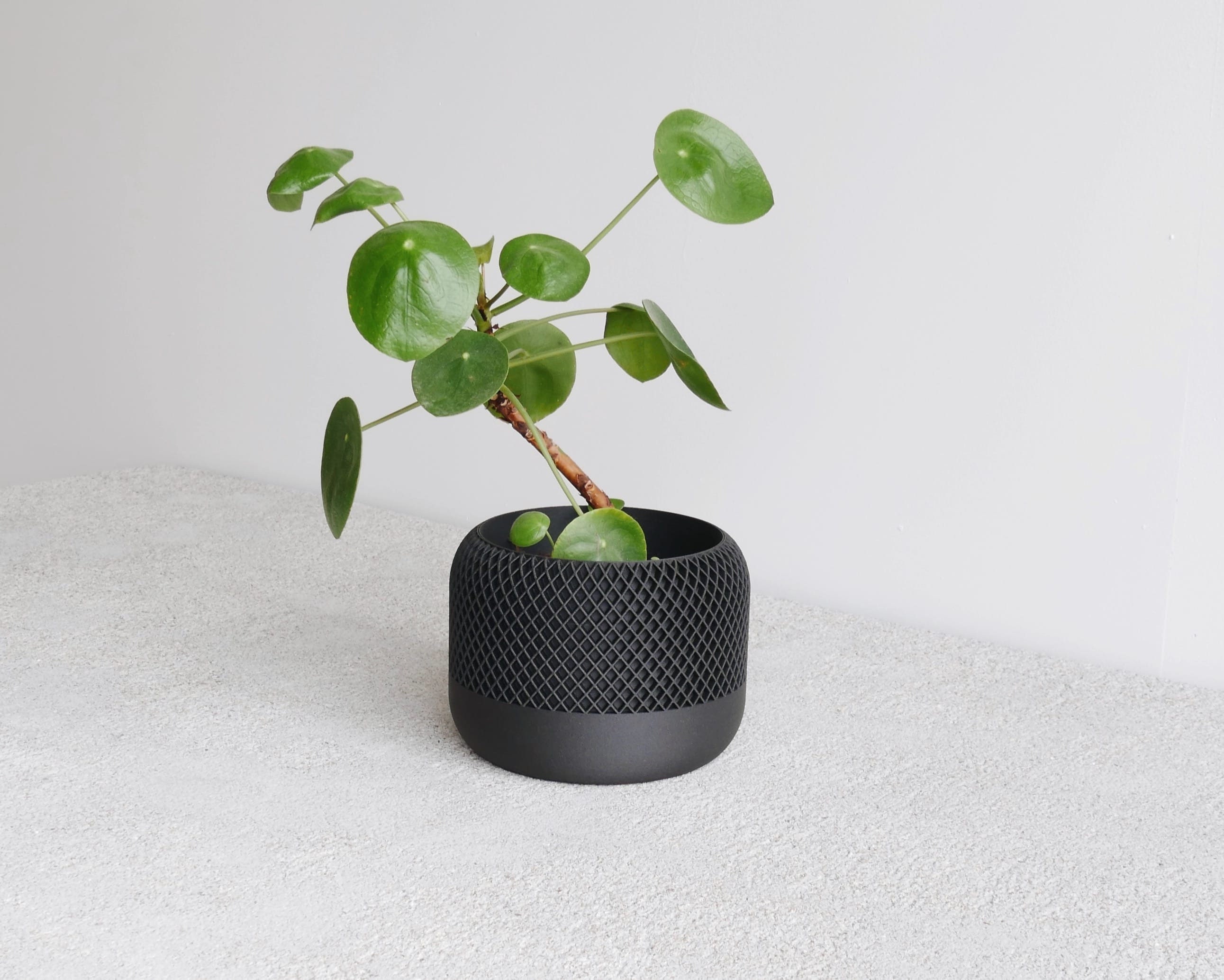 Black Indoor Planter Wood APPLE Minimalist & Scandinavian | Etsy