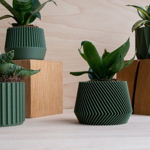 Set of 4 Green Small Indoor Planters - Original Planter Gift ! - Etsy