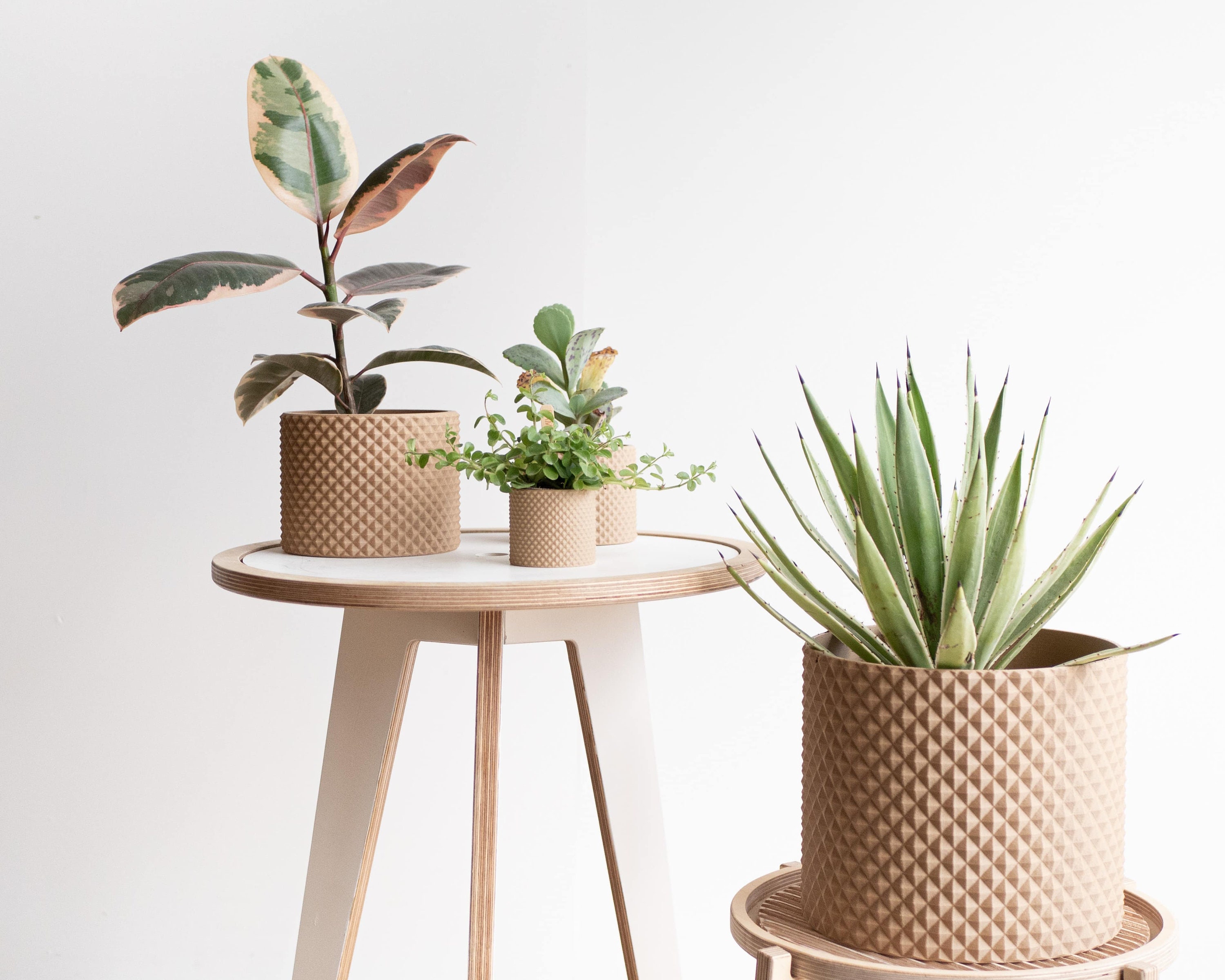 Large Indoor Planter - PIKO - Wood - for Green Plant Cactus and ...