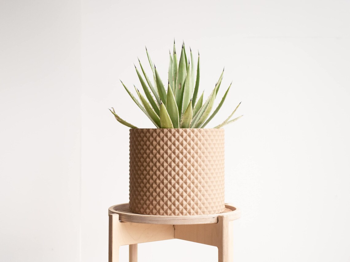 Large Indoor Planter - PIKO - Wood - for Green Plant Cactus and ...
