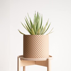 Large Indoor Planter - PIKO - Wood - for Green Plant Cactus and ...