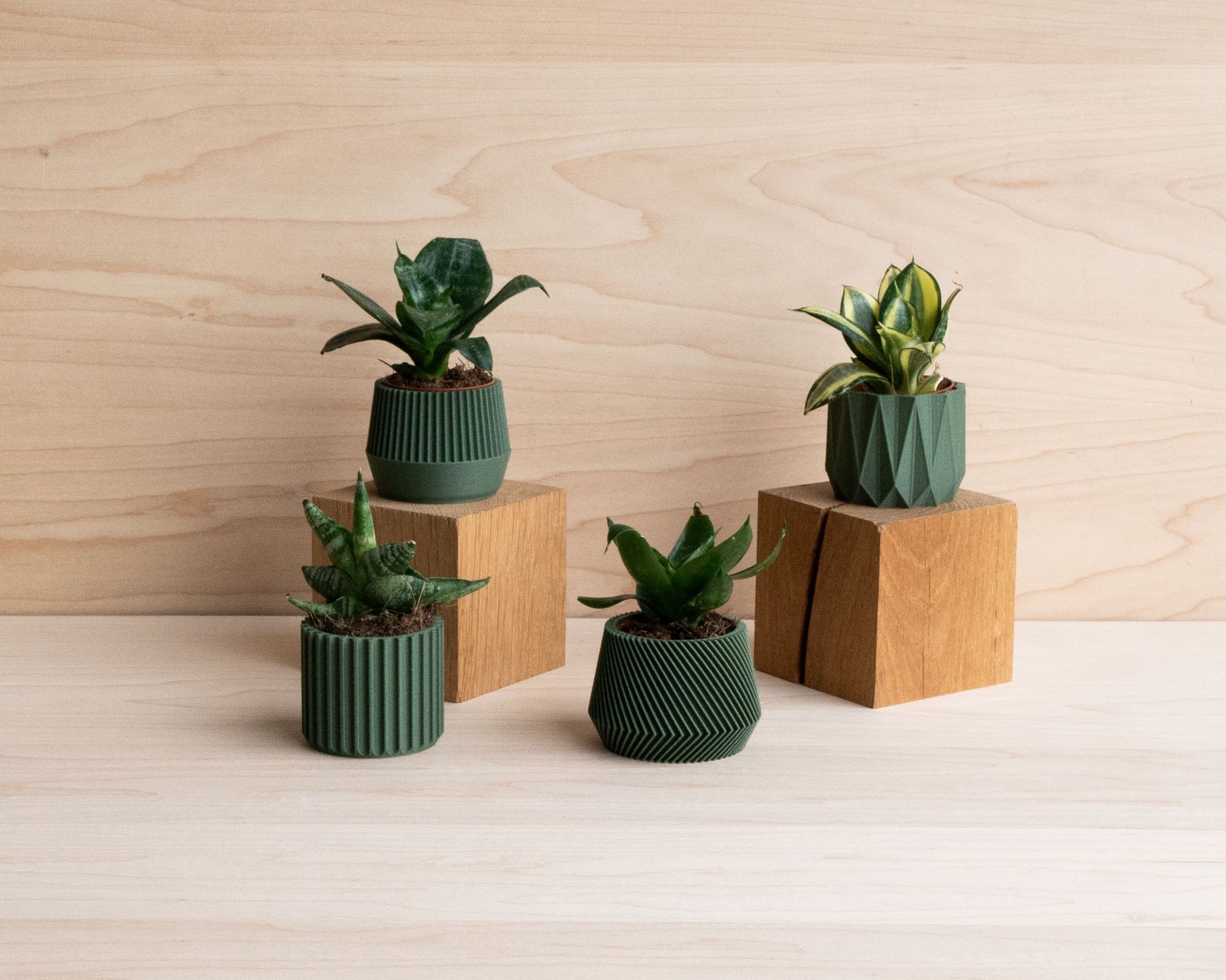 Set of 4 Green Small Indoor Planters Original Planter Gift - Etsy