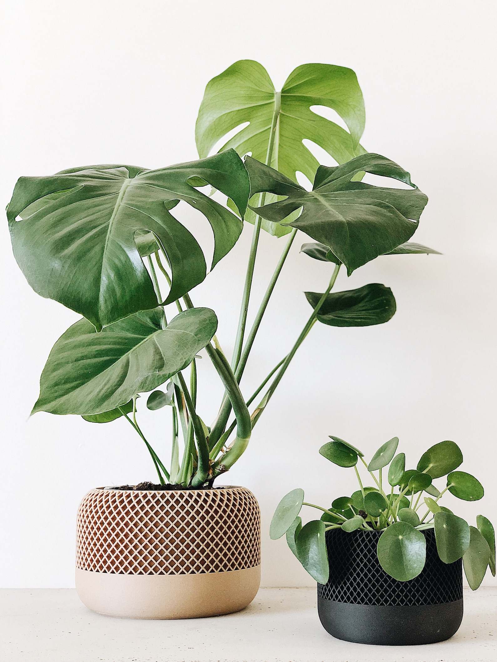 Indoor Wood Planter APPLE Original Gift for Plant Lovers | Etsy