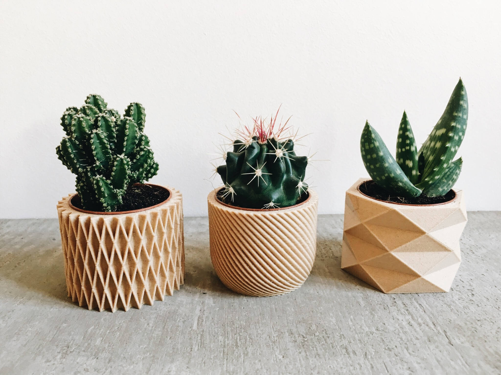 Set of 3 Small Indoor Plant Pot Perfect for Succulent and - Etsy