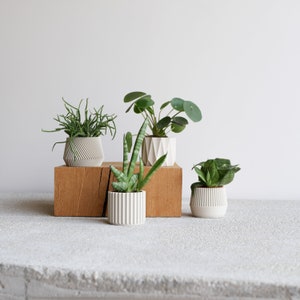 Set of 4 Small Indoor Planters White - Original Planter Gift ! - Etsy