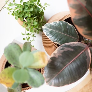 Large Indoor Planter OSLO - Original Planter Gift - Etsy