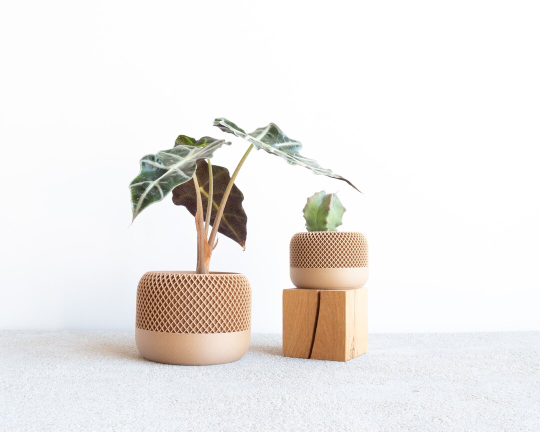 Indoor Wood Planter APPLE Original Gift for Plant Lovers - Etsy