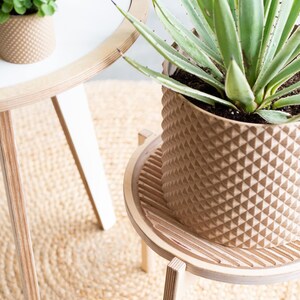 Large Indoor Planter - PIKO - Wood - for Green Plant Cactus and ...
