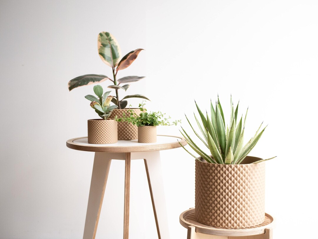 Large Indoor Planter - PIKO - Wood - for Green Plant Cactus and ...