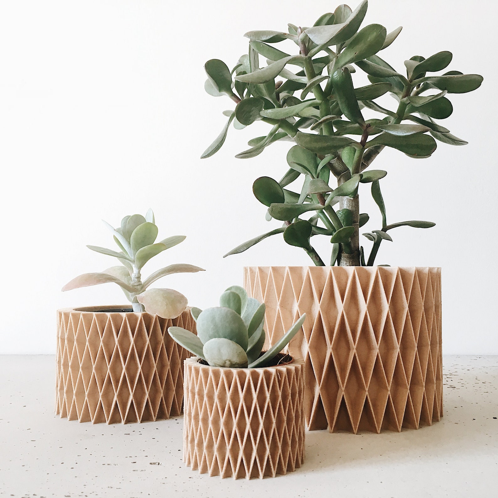 Indoor Planter Perfect for Succulents or Cacti - CROIX - Etsy UK