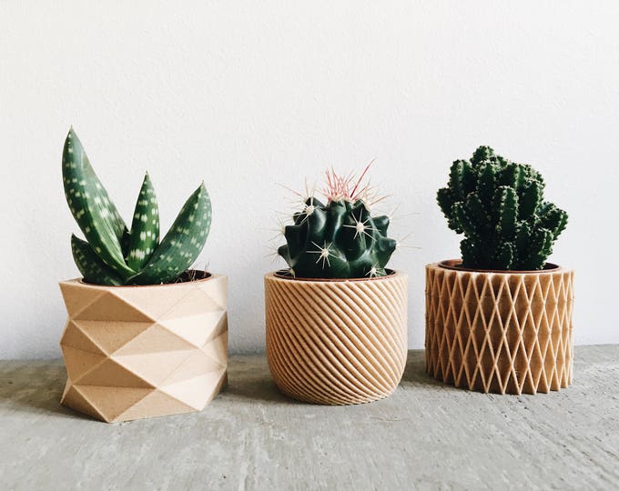 Set of 3 Small Indoor Plant Pot Perfect for Succulent and Cactus ...