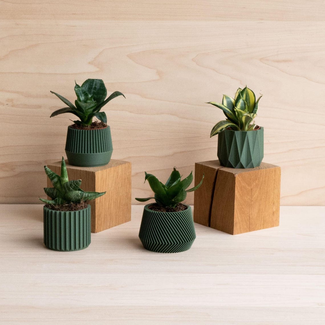 Set of 4 Green Small Indoor Planters - Original Planter Gift ! - Etsy