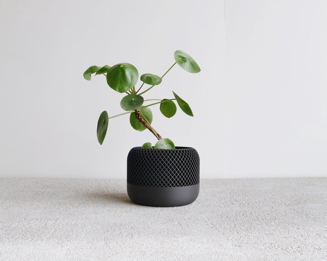 Black Indoor Planter Wood - APPLE - Minimalist & Scandinavian Decor ...