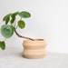 Geometric Indoor Planter - ITO - Original Planter Gift - Etsy