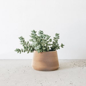 Indoor Planter SAVANNE - Etsy