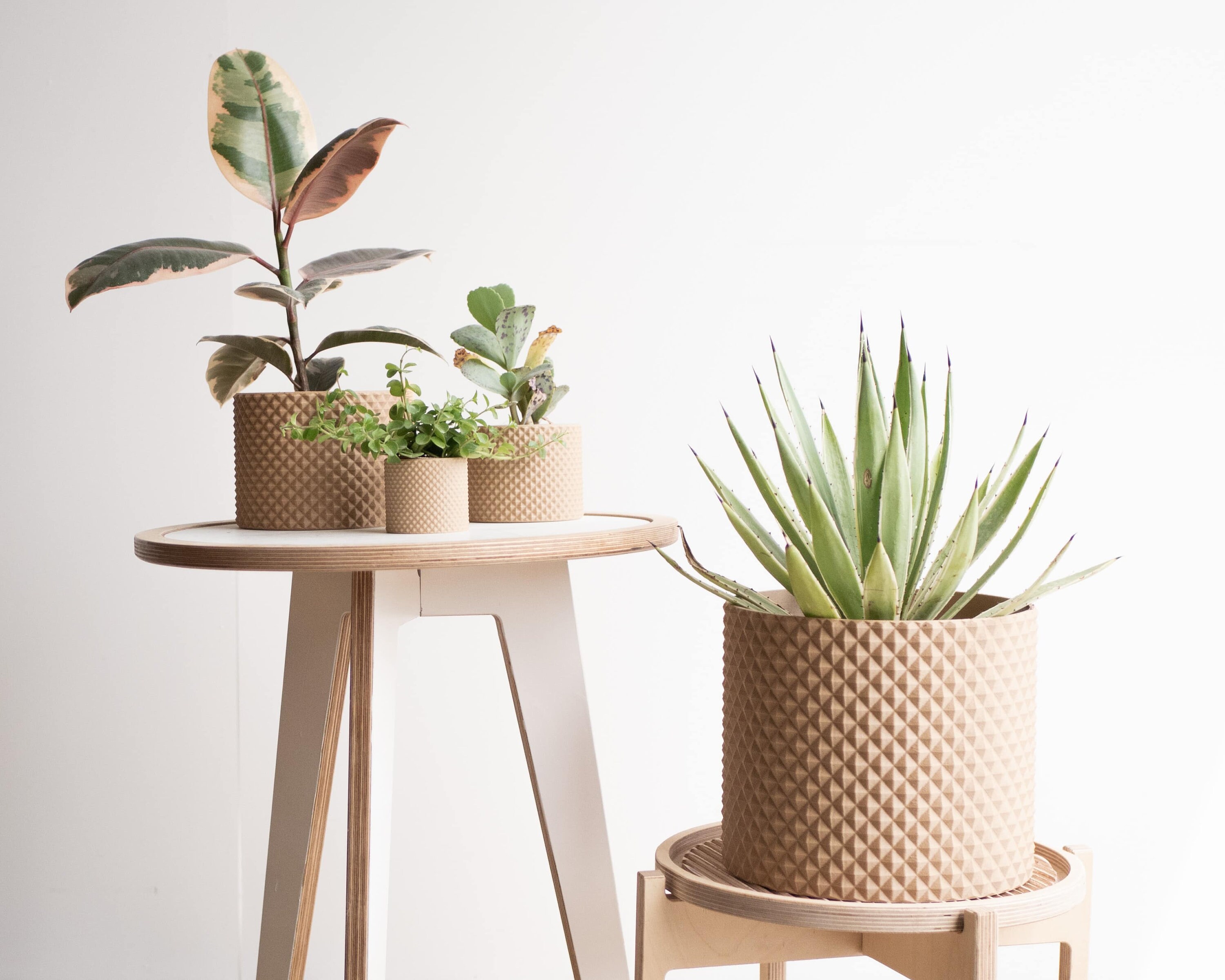 Large Indoor Planter - PIKO - Wood - for Green Plant Cactus and ...
