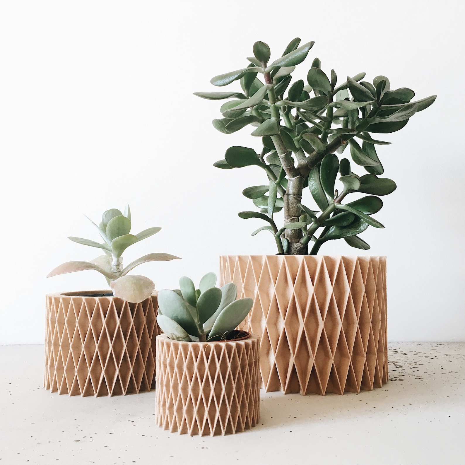 Cache-pot bois cactus succulente CROIX - Etsy France