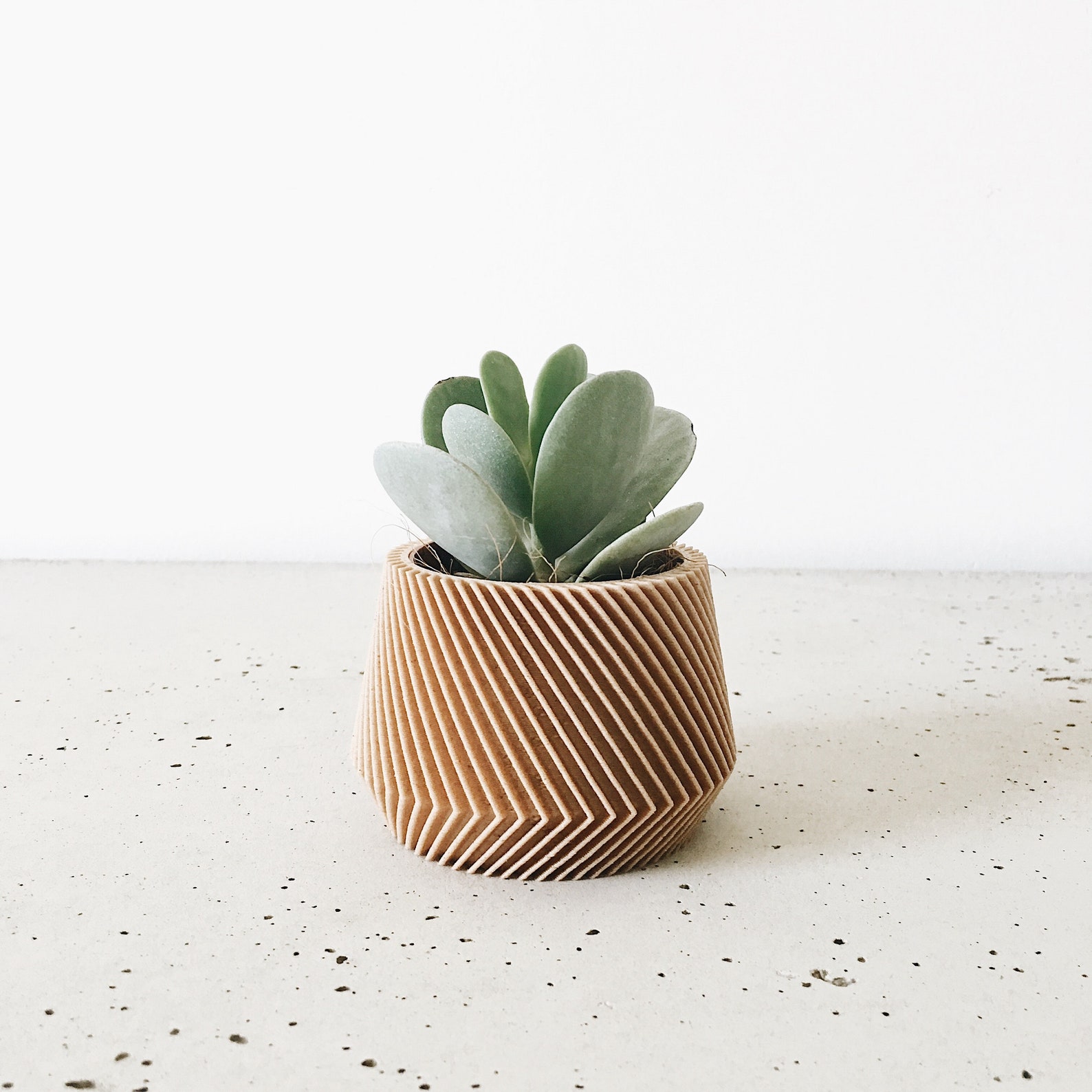 Set of 3 Small Succulent Plant Pots Original Planter Gift - Etsy