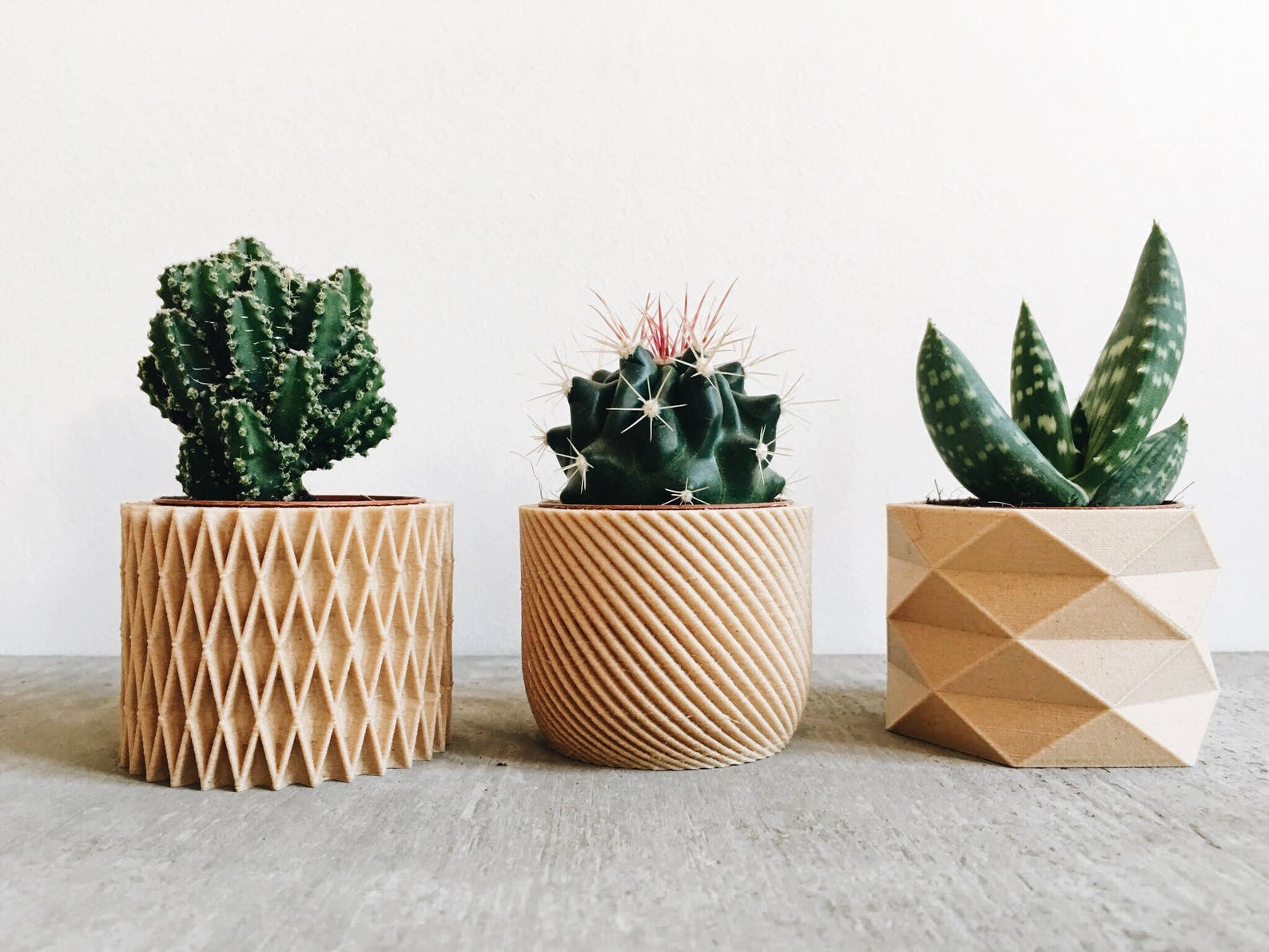 Set of 3 Small Indoor Plant Pot Perfect for Succulent and - Etsy