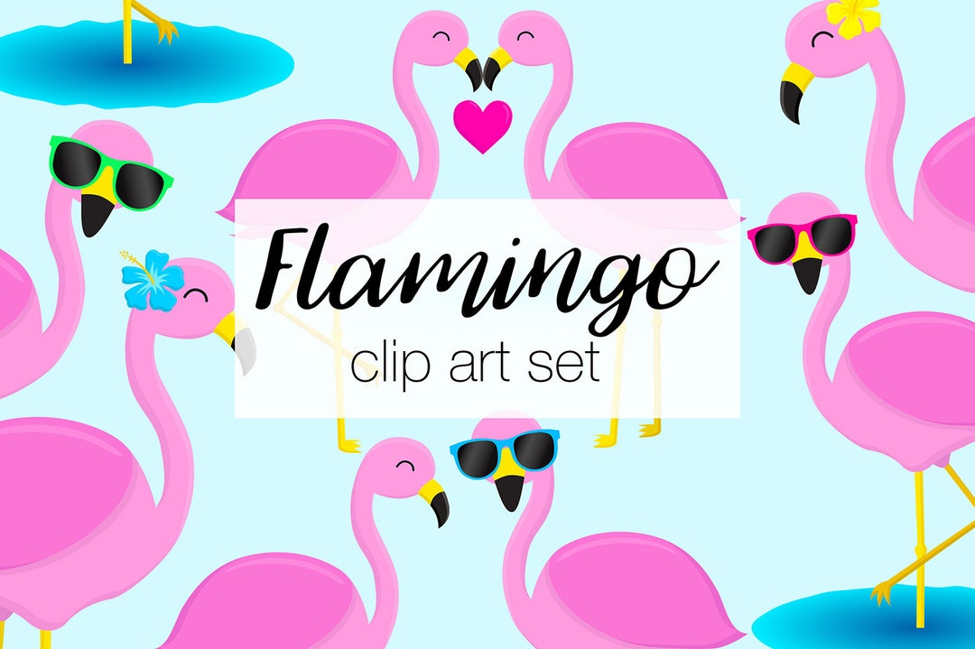 Flamingo Clip Art Set, Funky Flamingo Clipart Illustrations, Flamingos ...