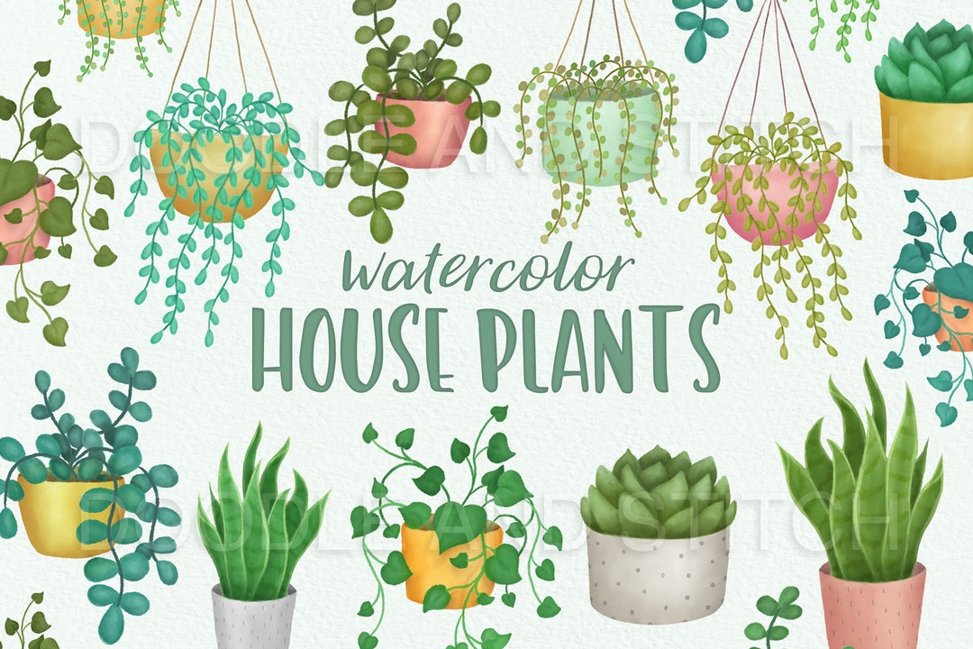 Watercolor Plants Clipart Designs, Indoor Plants Clip Art Illustrations ...
