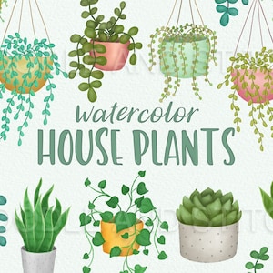 Watercolor Plants Clipart Designs, Indoor Plants Clip Art Illustrations ...