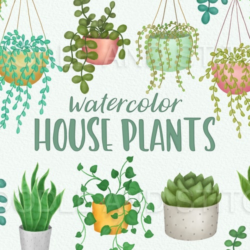 Watercolor Plants Clipart Designs Indoor Plants Clip Art - Etsy