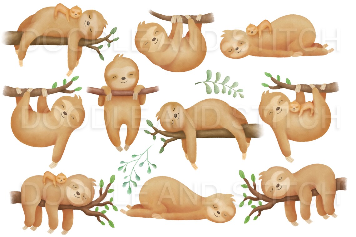 Cute Sloth Watercolor Clipart, Watercolour Sloths Clip Art ...