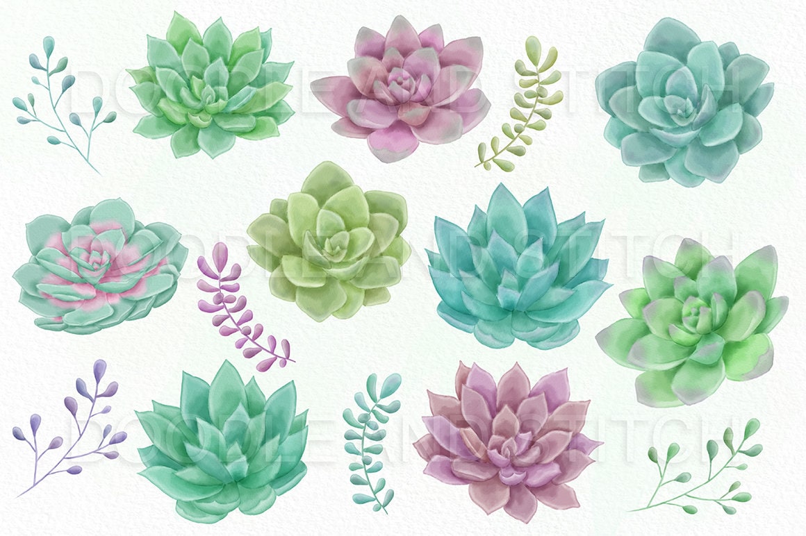 Watercolor Succulent Clipart Watercolour Plant Clip Art | Etsy