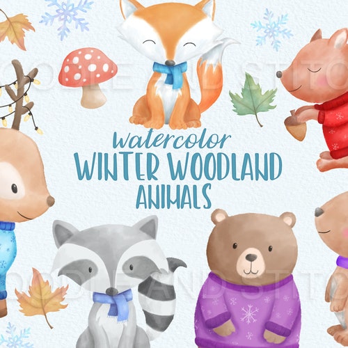 Winter Woodland Animal Clipart Watercolor Woodland Animal - Etsy