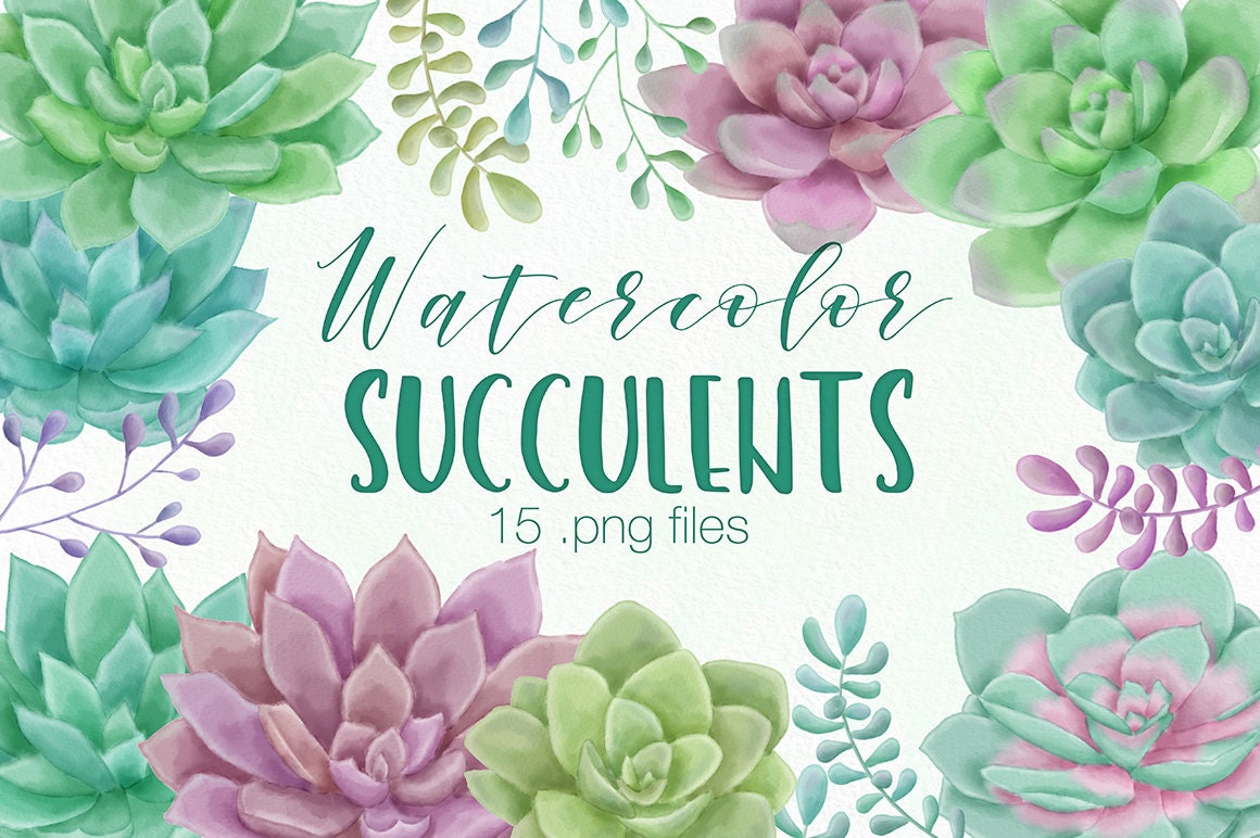 Watercolor Succulent Clipart Watercolour Plant Clip Art | Etsy