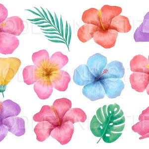 Tropical Flower Clipart Illustrations, Watercolor Tropical Flowers ...