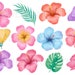 Tropical Flower Clipart Illustrations, Watercolor Tropical Flowers ...